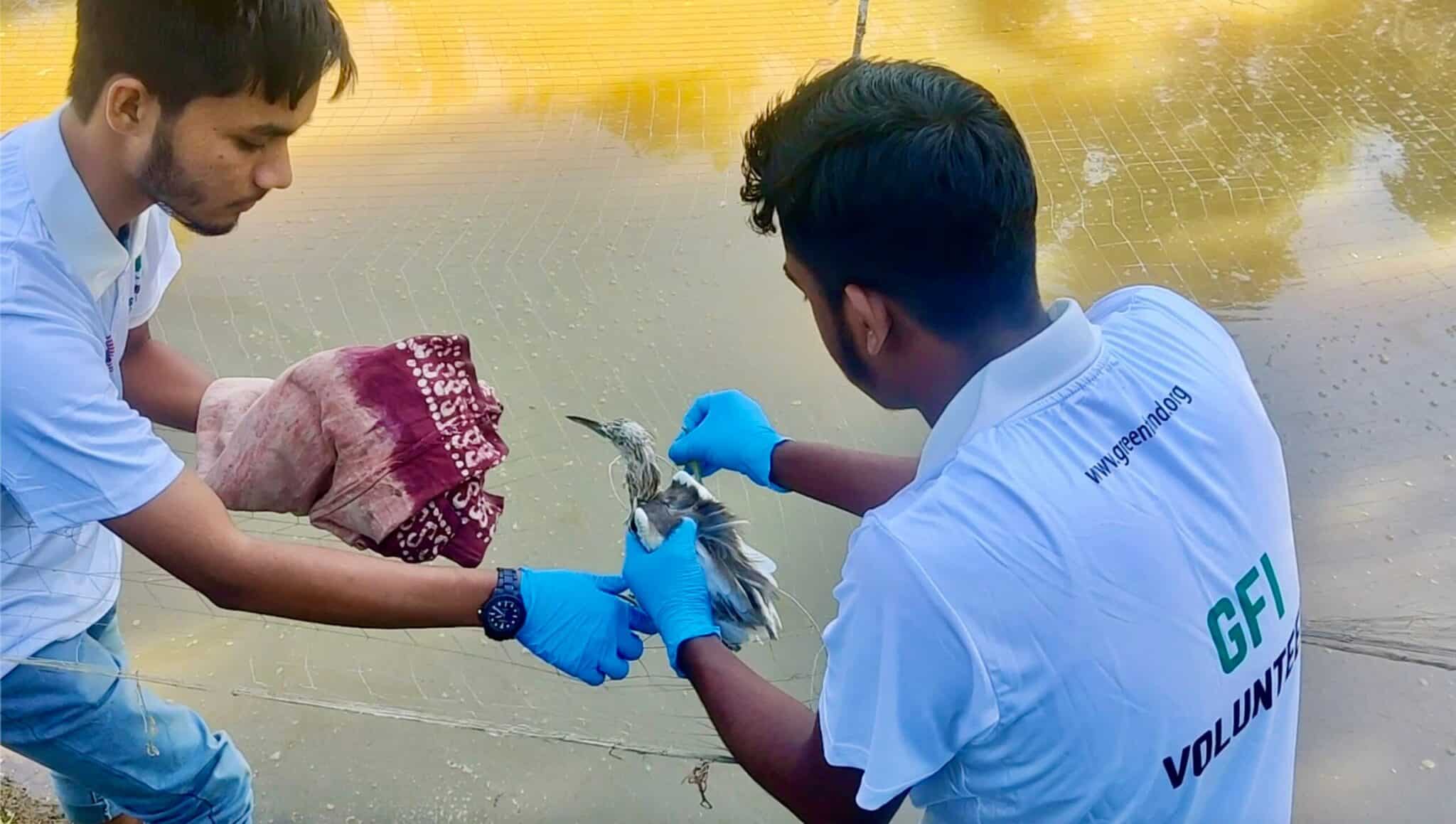 Birds Conservation and Community Engagement Initiative – Green Fund ...